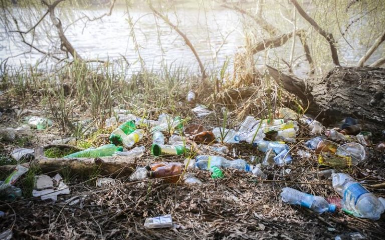Litter and Our Waterways - City Wildlife